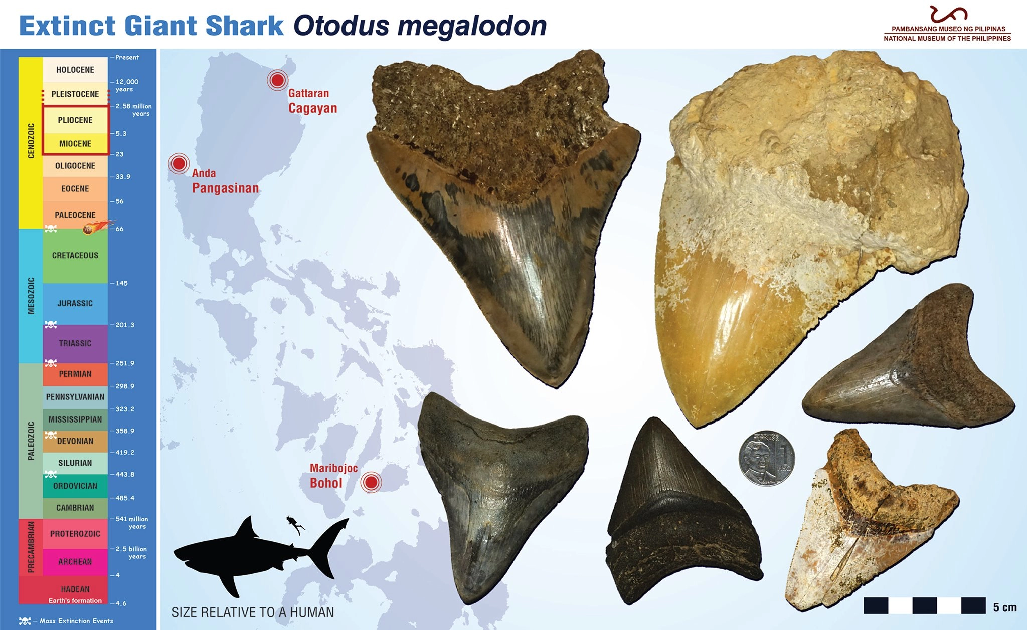 Here Are 6 Of The Philippines' Now Extinct Animals